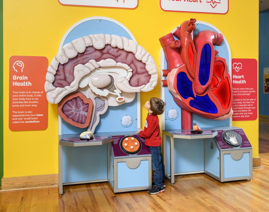 Experience – EdVenture Children's Museum